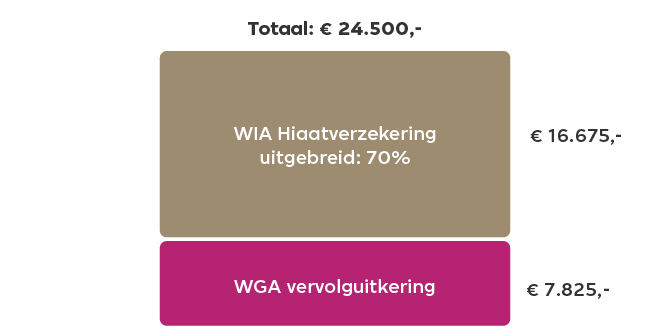WGA Hiaat of Uitgebreid - Centraal Beheer